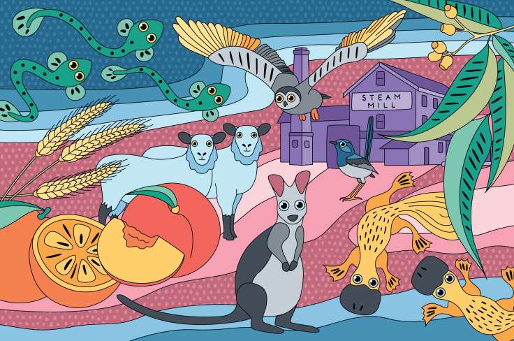 Centenary Mural ::: North Rocks Public School – Cassandre Collins